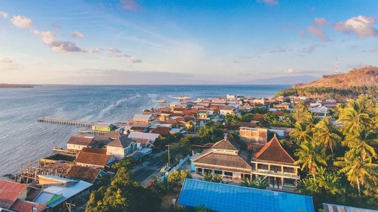 Whale Shark Saleh Bay: Complete Sumbawa Guide